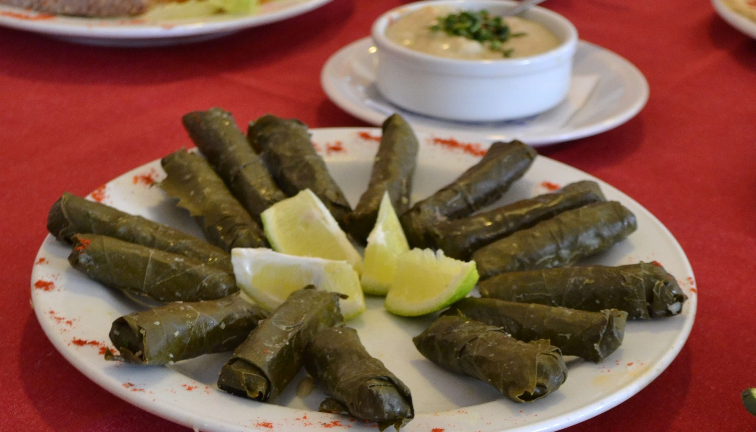 Invitan a degustar la exquisita comida árabe en el Club Sirio Libanés ...