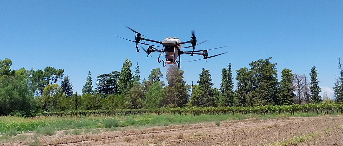 El INTA Rama Caída logró sembrar pasturas con un drone y obtuvo muy ...