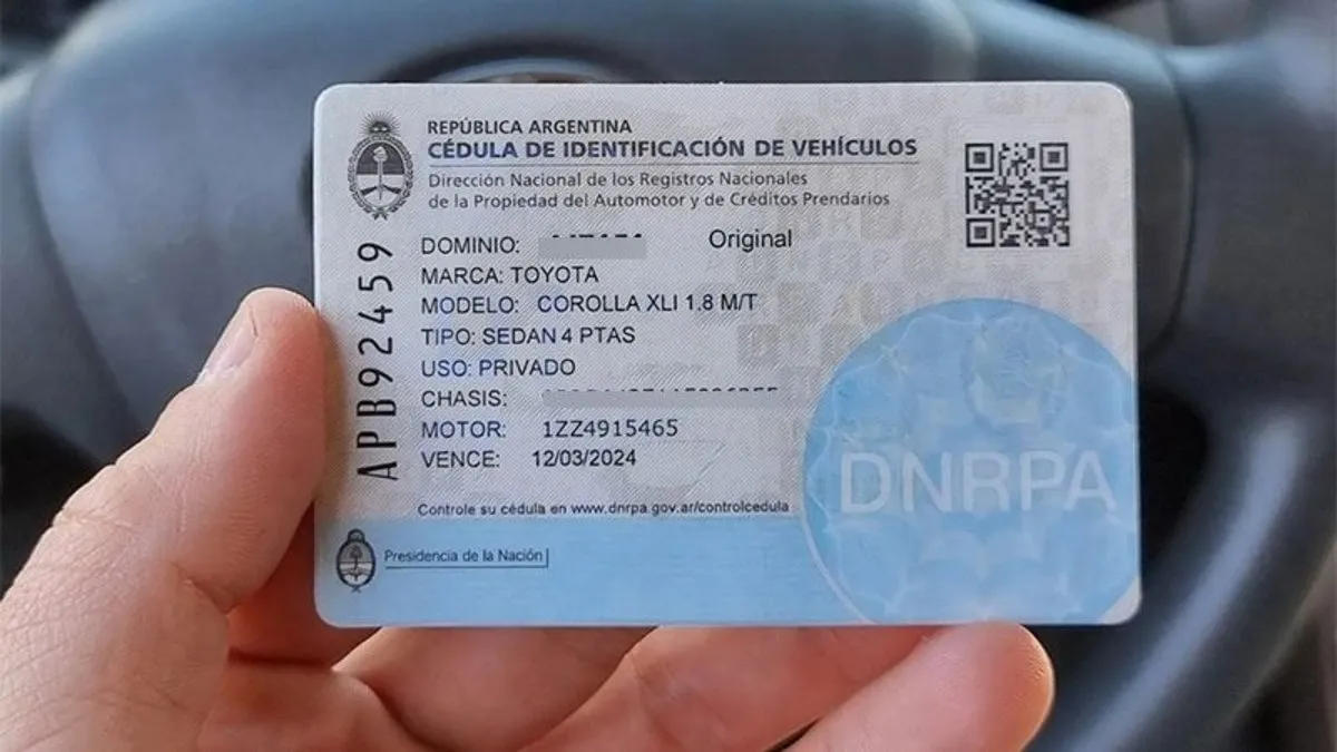 La nueva “cédula azul” digital: cómo funciona la aplicación que permite ...