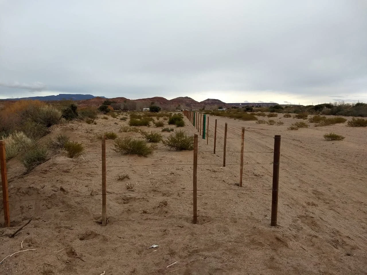 Pata Mora: la Provincia lanzó la licitación del polo estratégico para ...