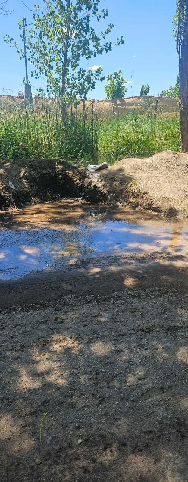 Reclamo por el desborde de una acequia en calle Spinelli y el deterioro ...